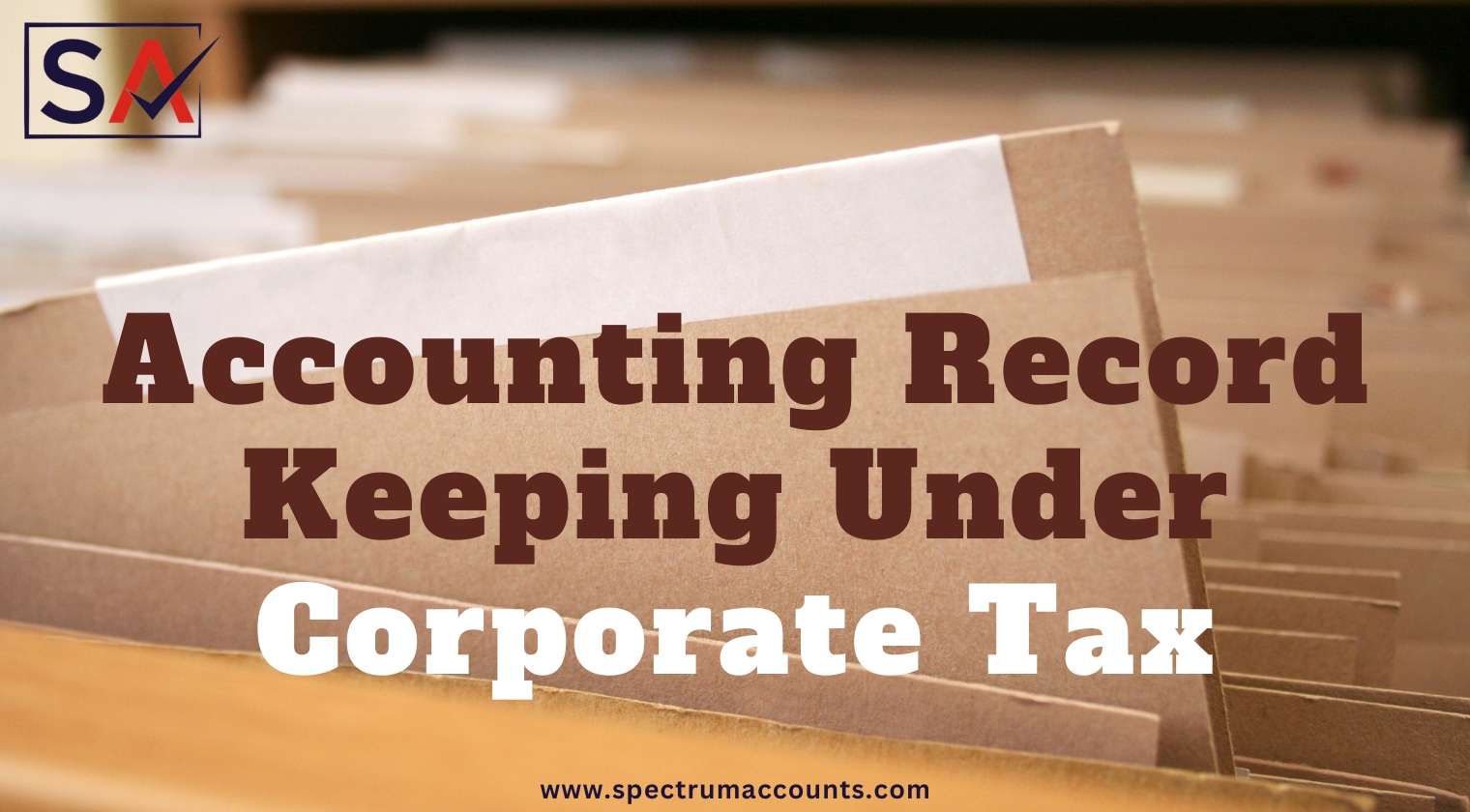 Auditors in Dubai | Accounting Firms | Spectrum Accounts